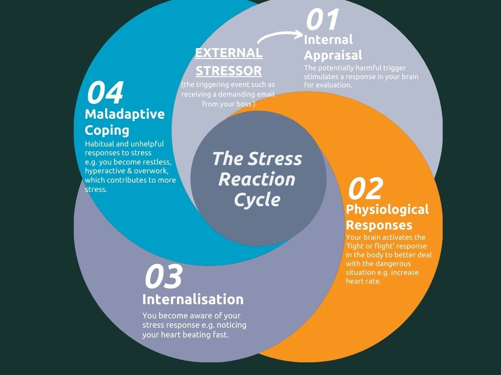 The Stress Reaction Cycle – ATO life.